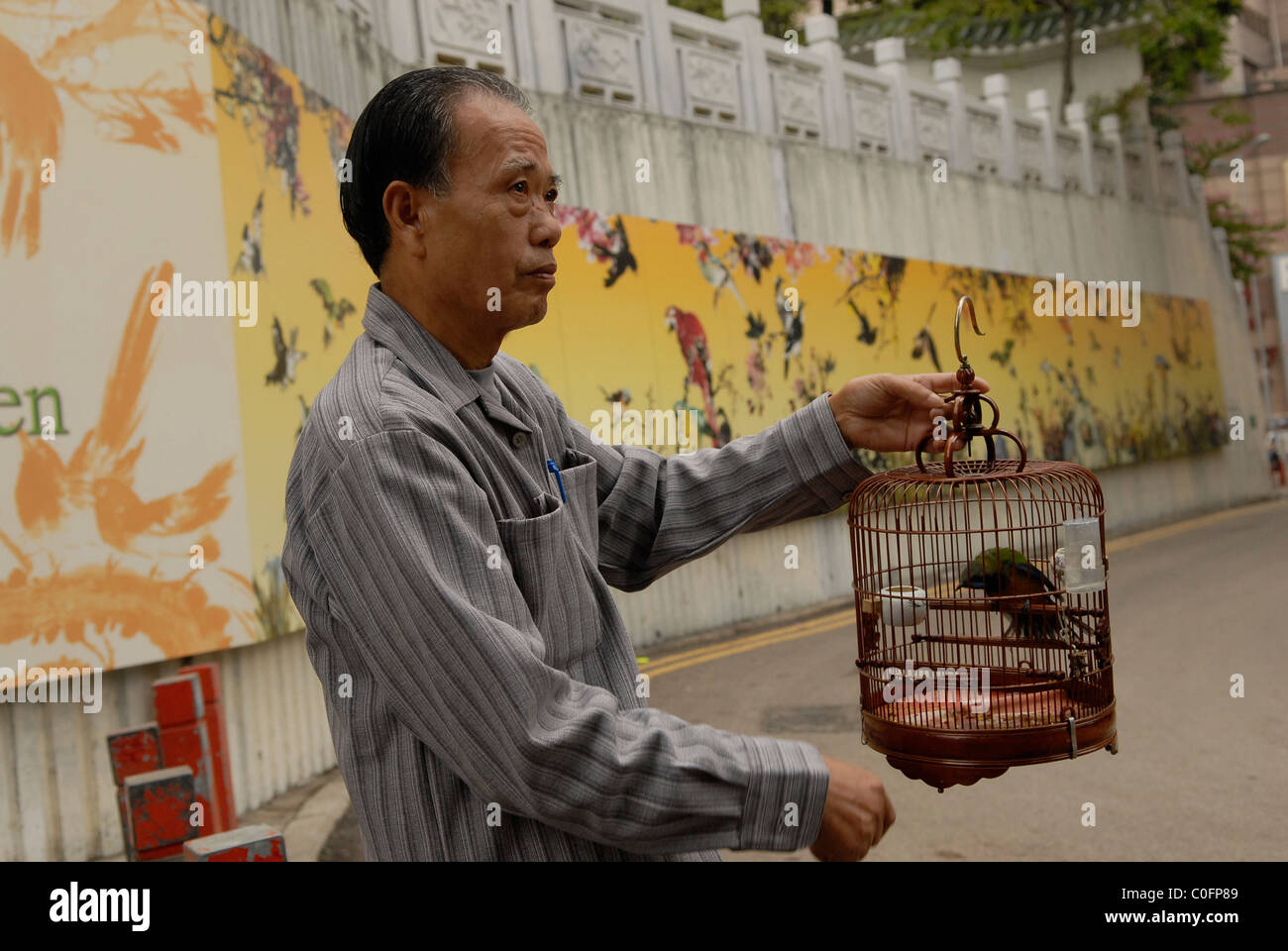 Chinese man with a bird cage hi-res stock photography and images - Alamy