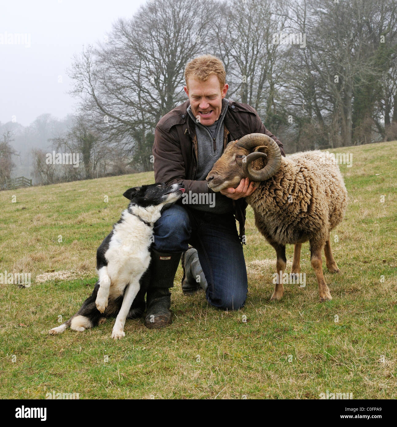 Adam Henson Cotswold farmer with his dog and a rare breeds Soay Ram on ...