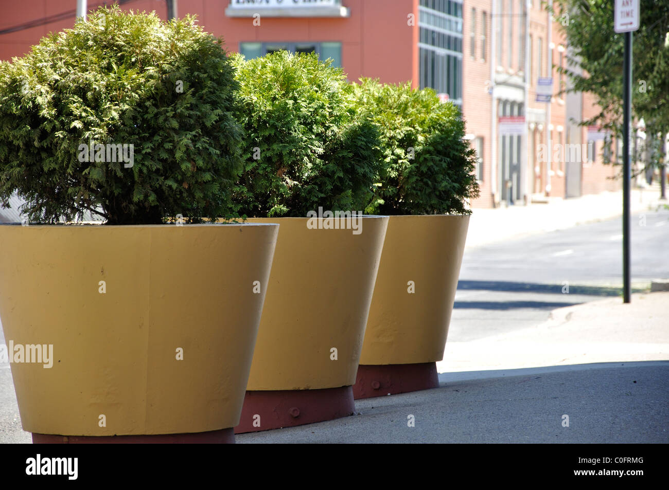 Plant pots on street of Philadelphia, Pennsylvania, USA Stock Photo - Alamy