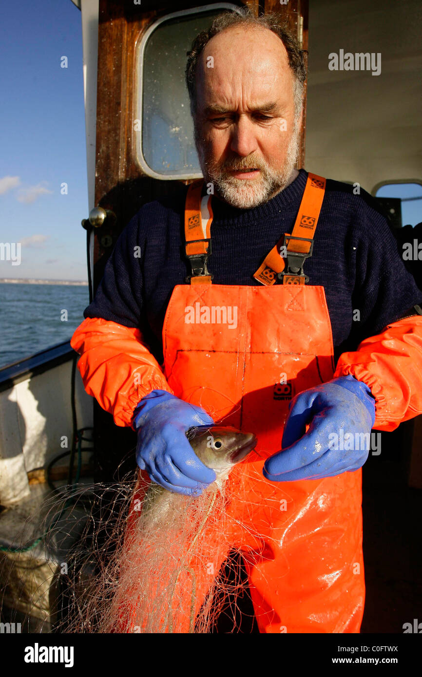Cod fishing in the English Channel. Picture by James Boardman Stock ...