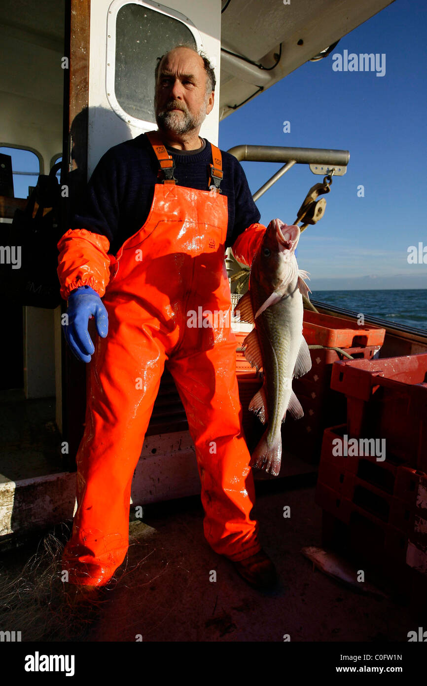 Cod fishing in the English Channel. Picture by James Boardman Stock ...