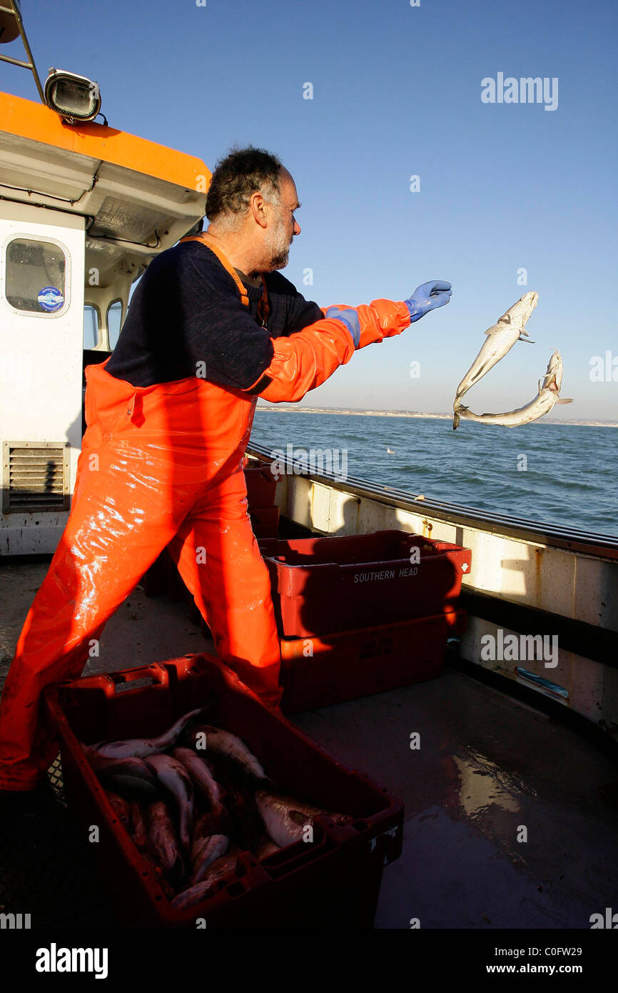 Cod fishing in the English Channel. Picture by James Boardman Stock ...
