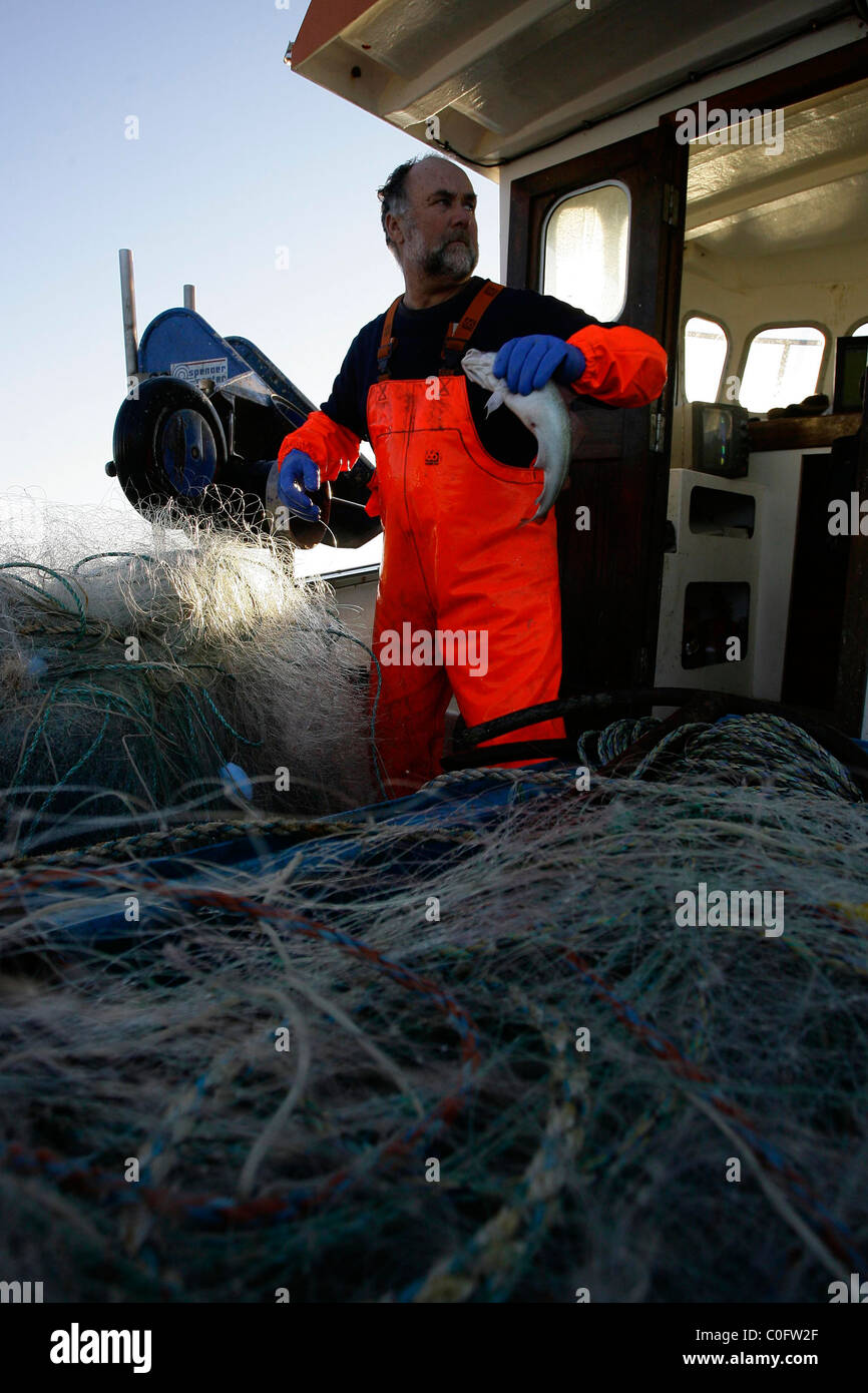Cod fishing in the English Channel. Picture by James Boardman Stock ...