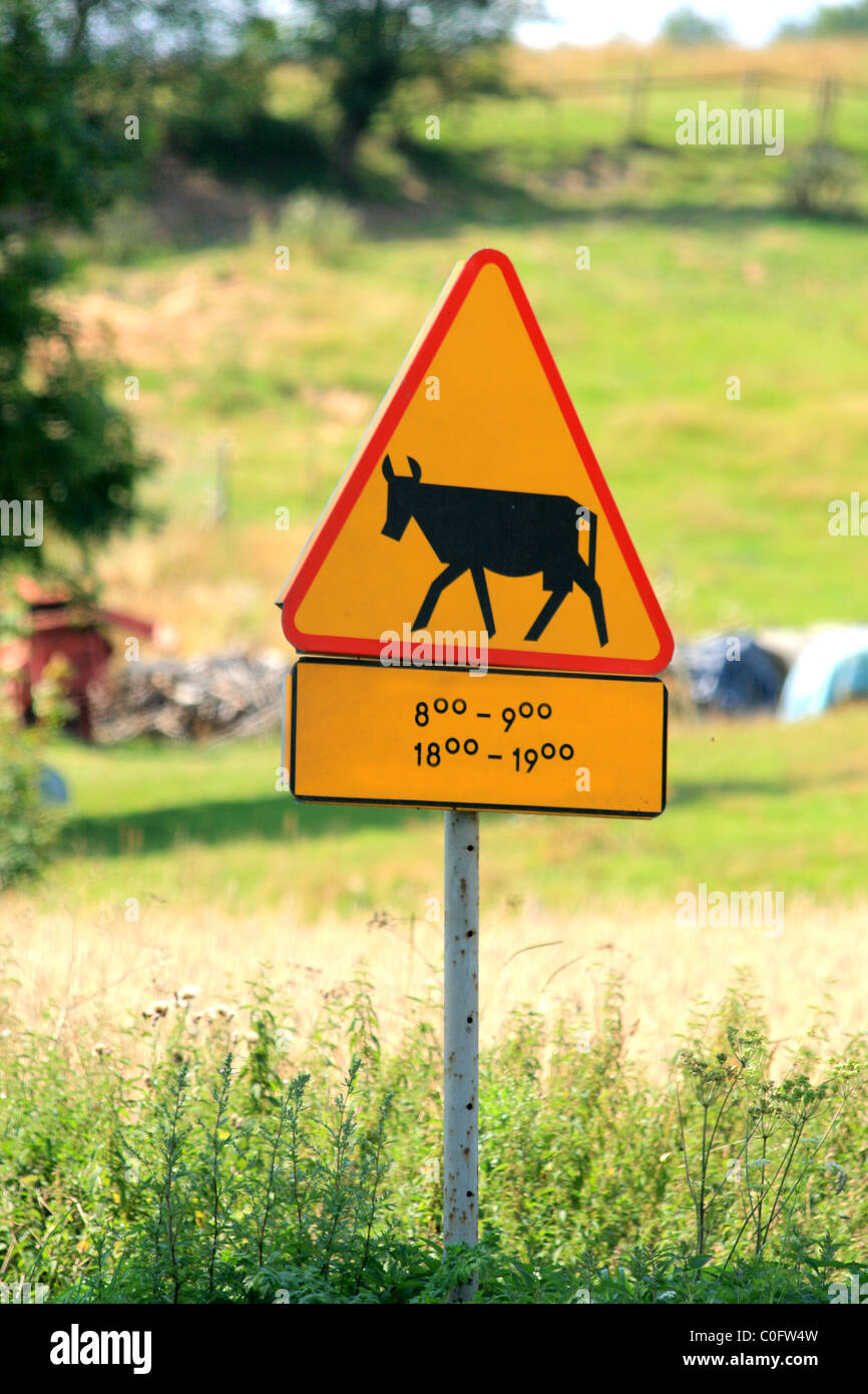 Cow road warning sign hi-res stock photography and images - Alamy