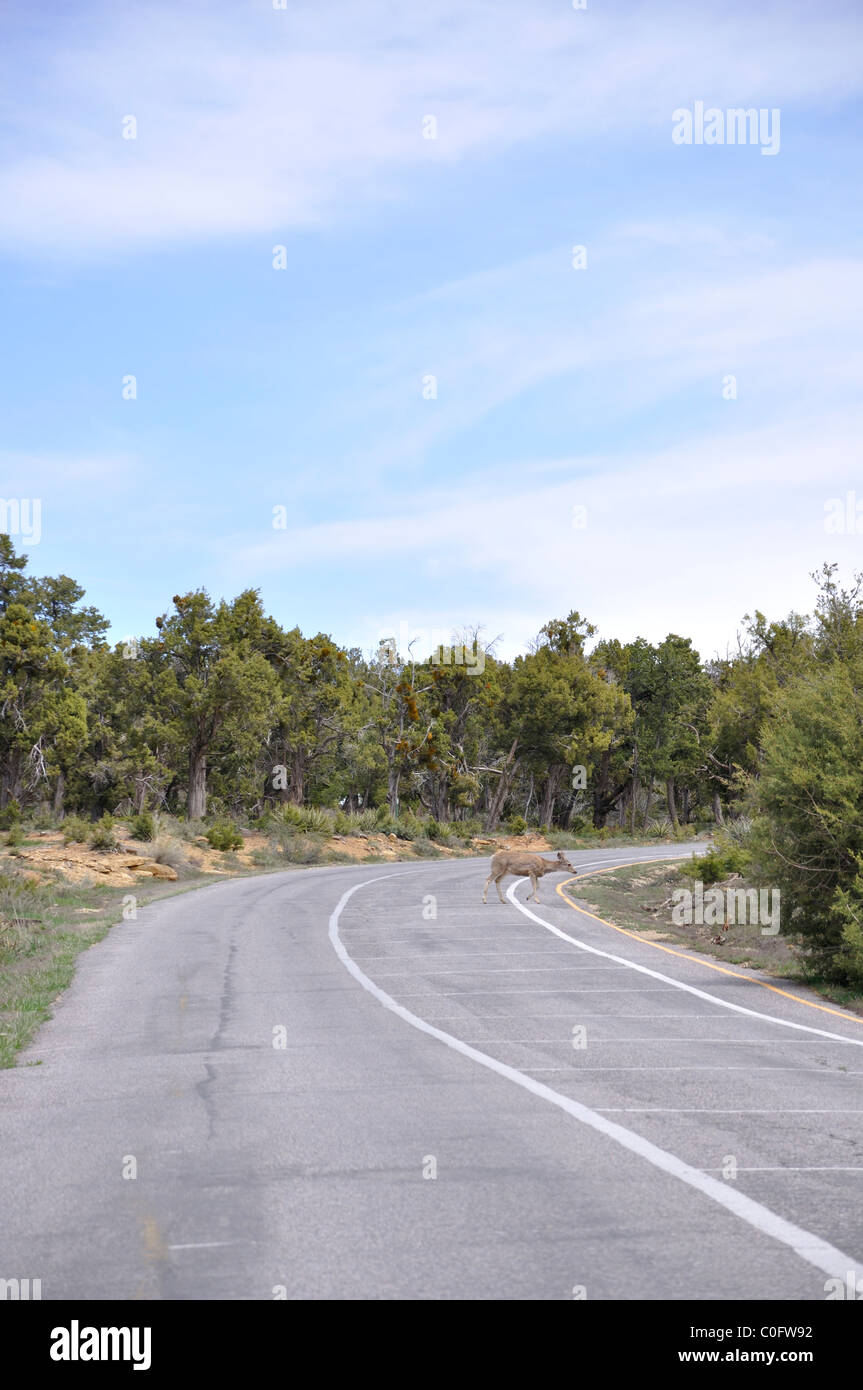 New national road hi-res stock photography and images - Alamy