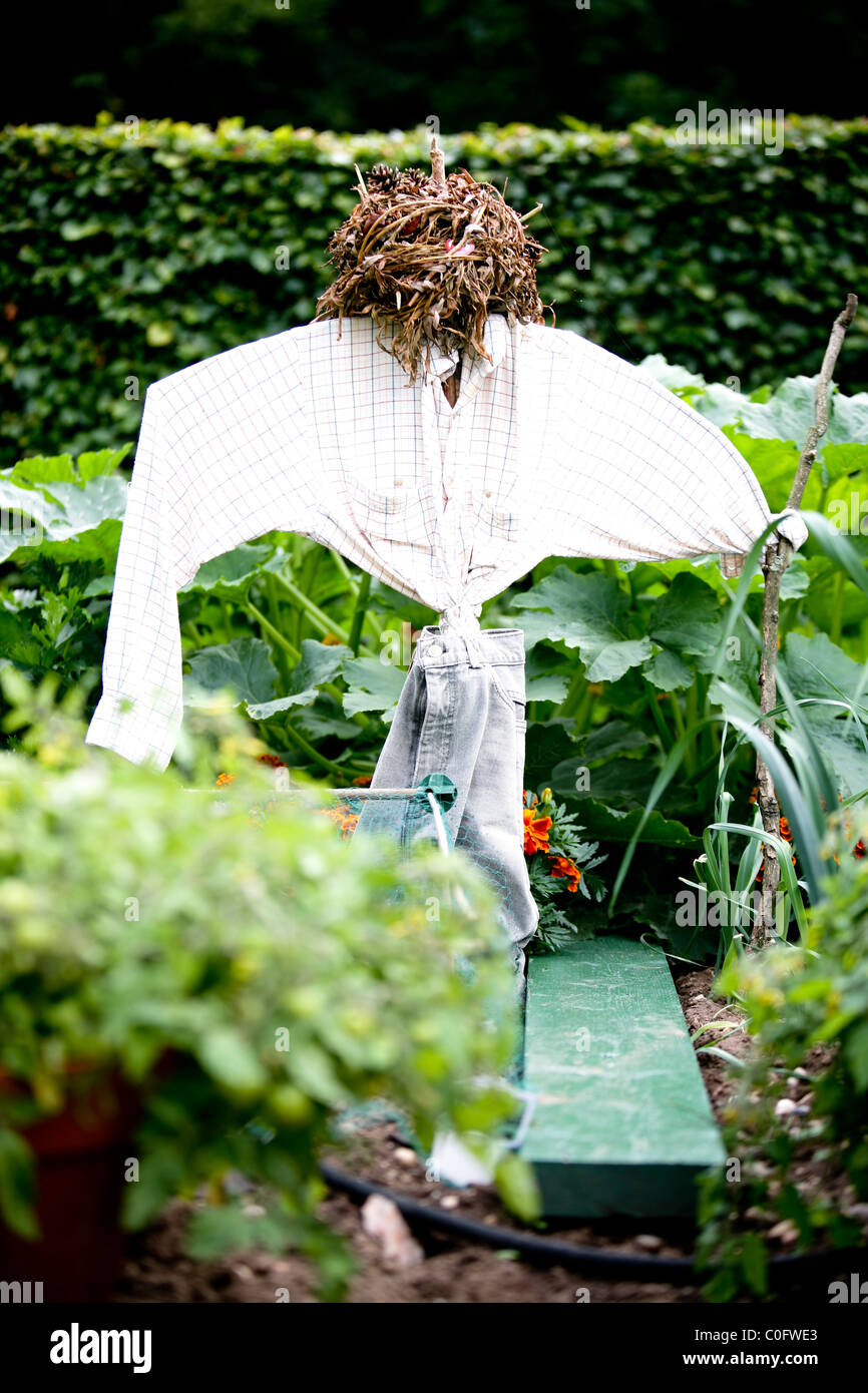 Scare Crow in garden in British summer time Stock Photo - Alamy