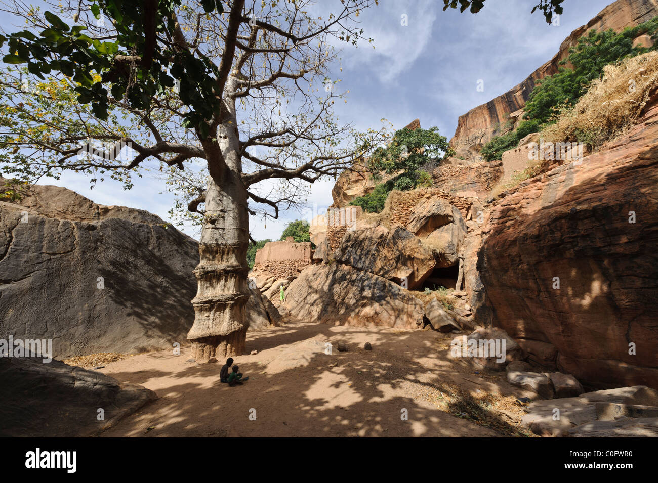 Baobab in a small sandy square.The place where the Sigi rituals are ...