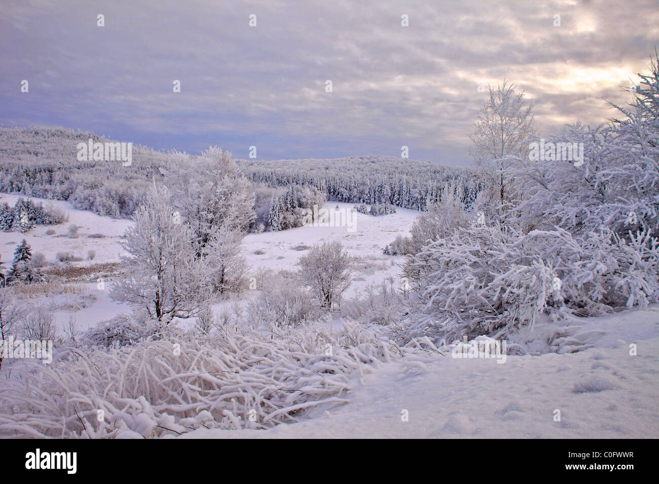 Snow and Ice Winter Scene Stock Photo - Alamy