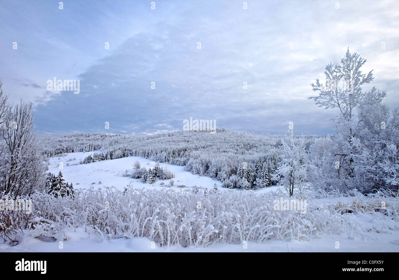 Snow and Ice Winter Scene Stock Photo - Alamy