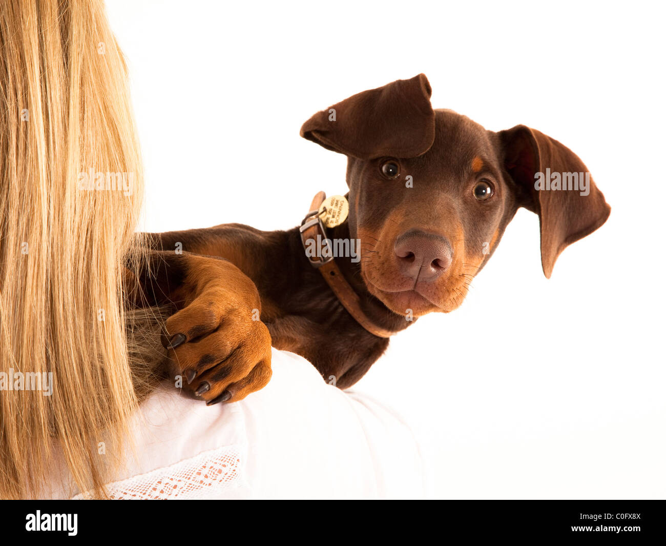 Doberman puppy peering over shoulder of female with long blond hair, in ...