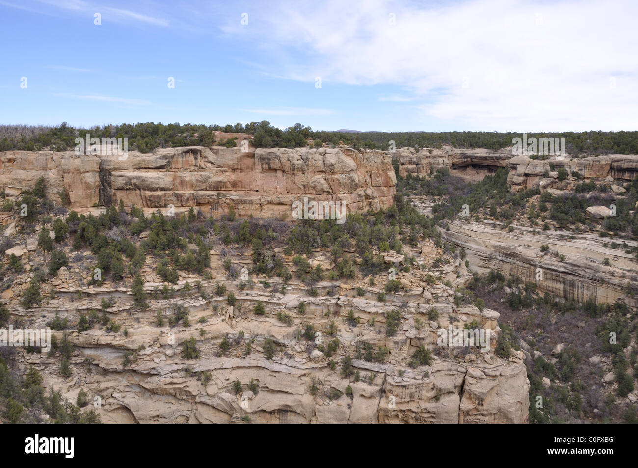 Mesa Verde National Park rocks, New Mexico, USA Stock Photo - Alamy
