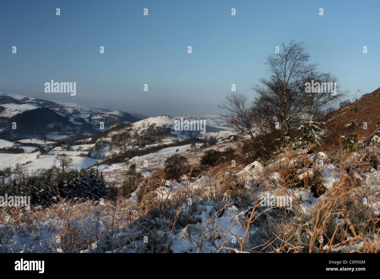 Lone tree andsnow on Panorama Llangollen with view of Dinas Bran castle ...