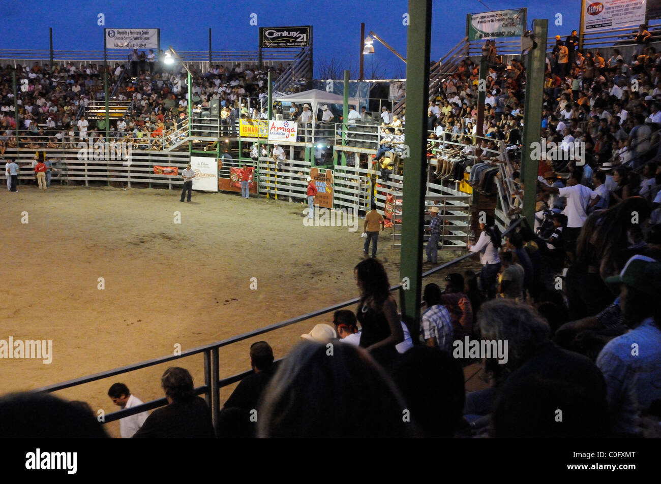 Rodeo arena bulls hi-res stock photography and images - Alamy