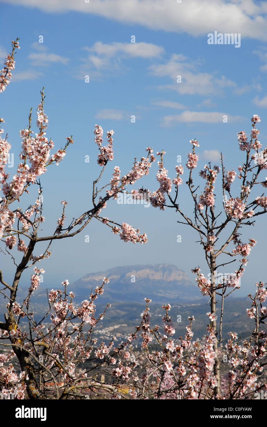 Benimaurell mountain coast spain hi-res stock photography and images ...