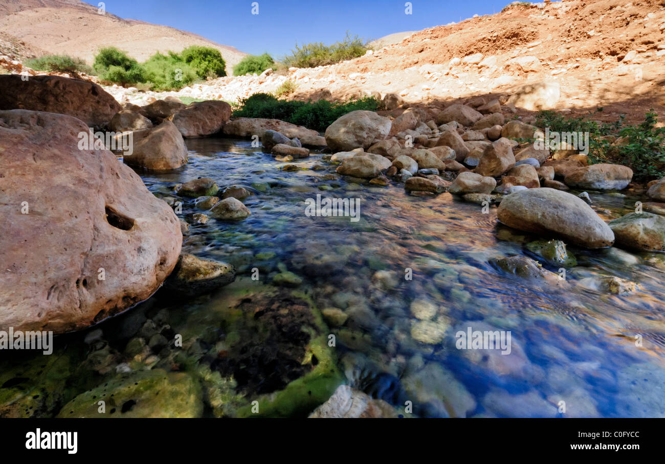 Patzaael Spring, Israel. an oasis in the Judea desert Stock Photo - Alamy