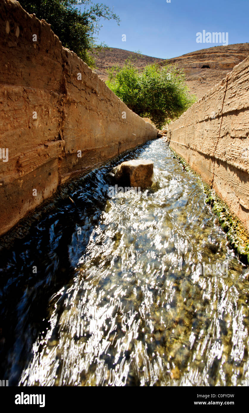 Patzaael Spring, Israel. an oasis in the Judea desert Stock Photo - Alamy