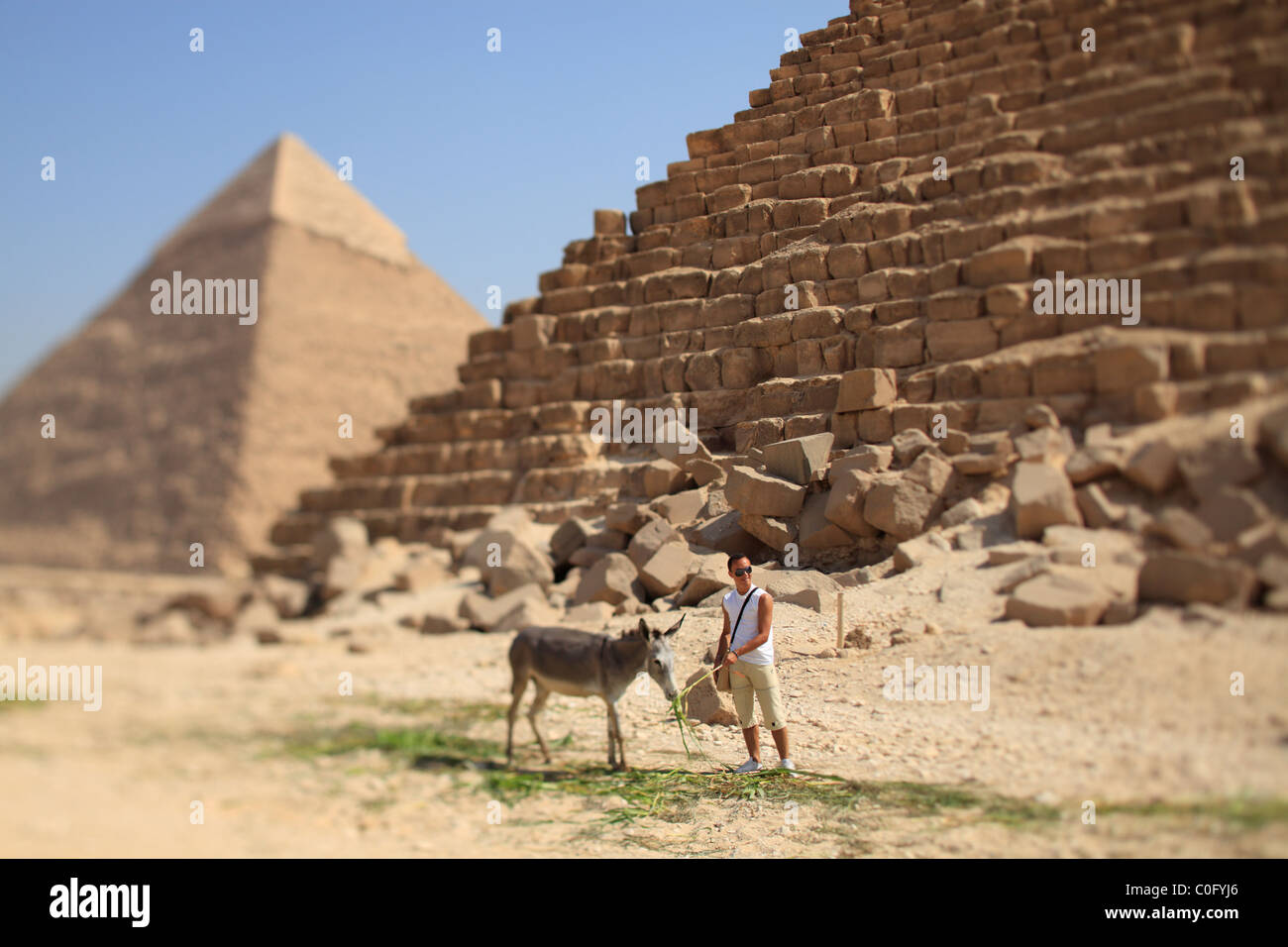Donkey pyramid giza egypt hi-res stock photography and images - Alamy