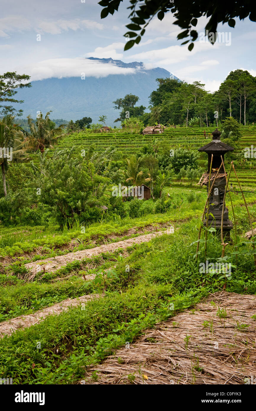 The Sideman Valley in Bali, Indonesia, has some of the most beautiful ...