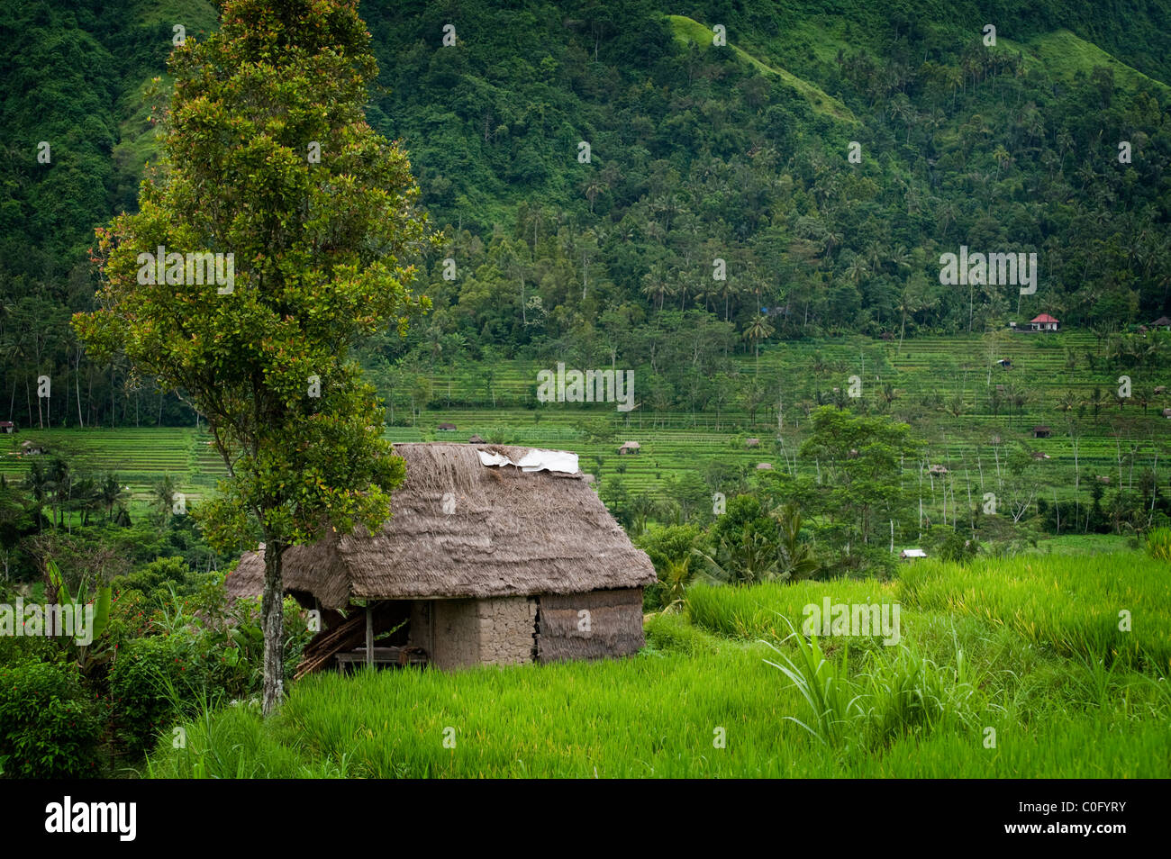 The Sideman Valley in Bali, Indonesia, has some of the most beautiful ...