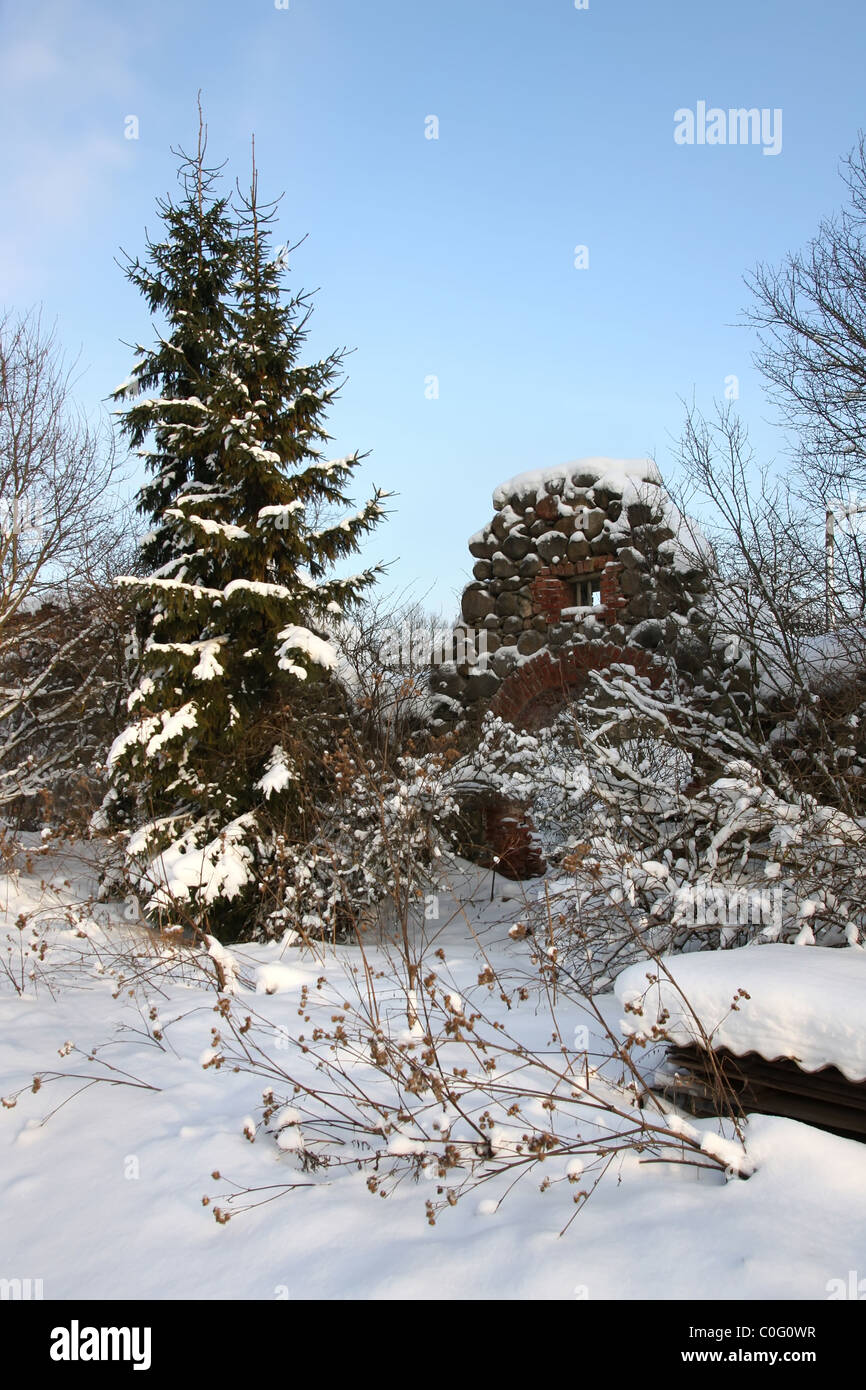 Ancient tree protection hi-res stock photography and images - Alamy