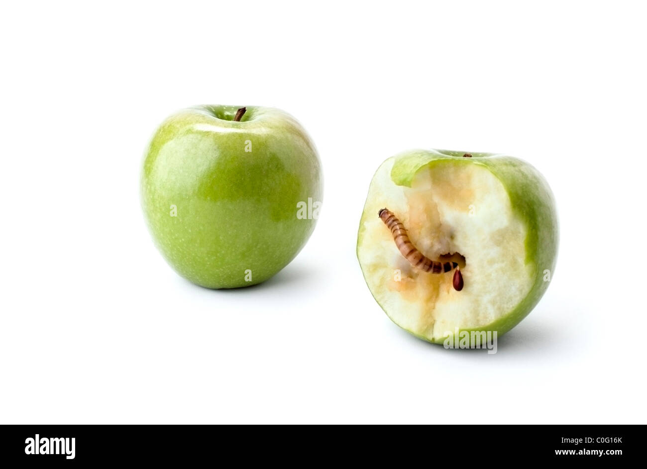 Two green apples, one half eaten with a worm crawling out of the center ...