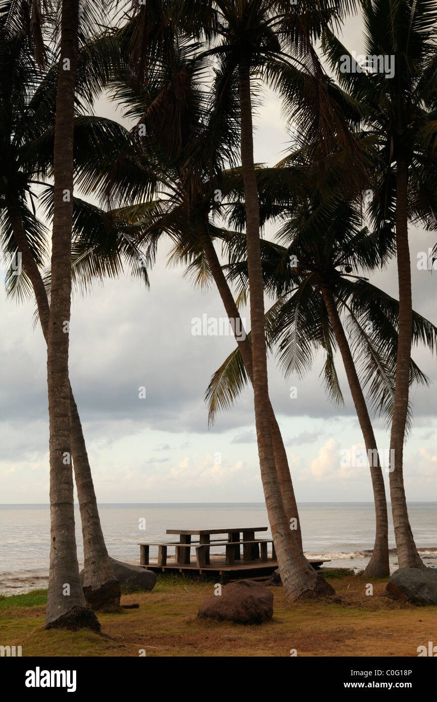 Early morning view through coconut palms to the Lombok Strait Stock ...