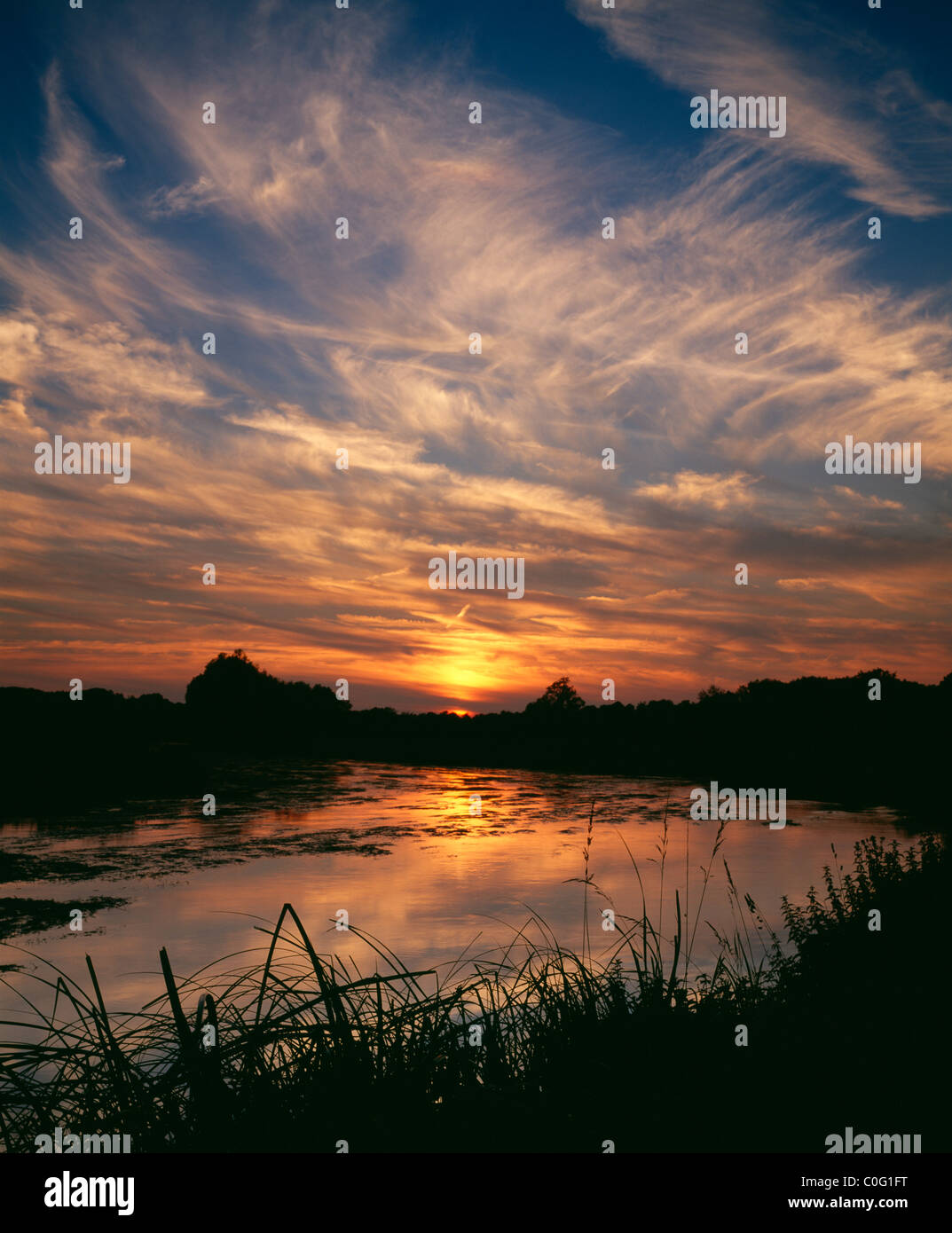 Sunset over the River Avon at Woodgreen in Hampshire Stock Photo - Alamy