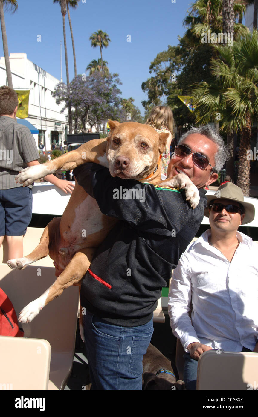 The Big Dog Parade Over 1,200 dogs and 16,000 spectators gather for the ...