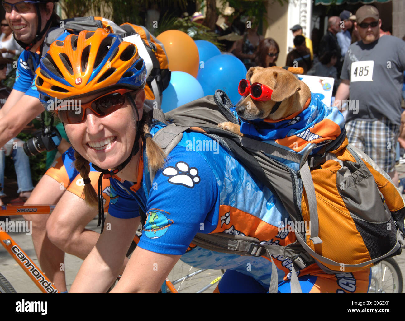 The Big Dog Parade Over 1,200 dogs and 16,000 spectators gather for the ...
