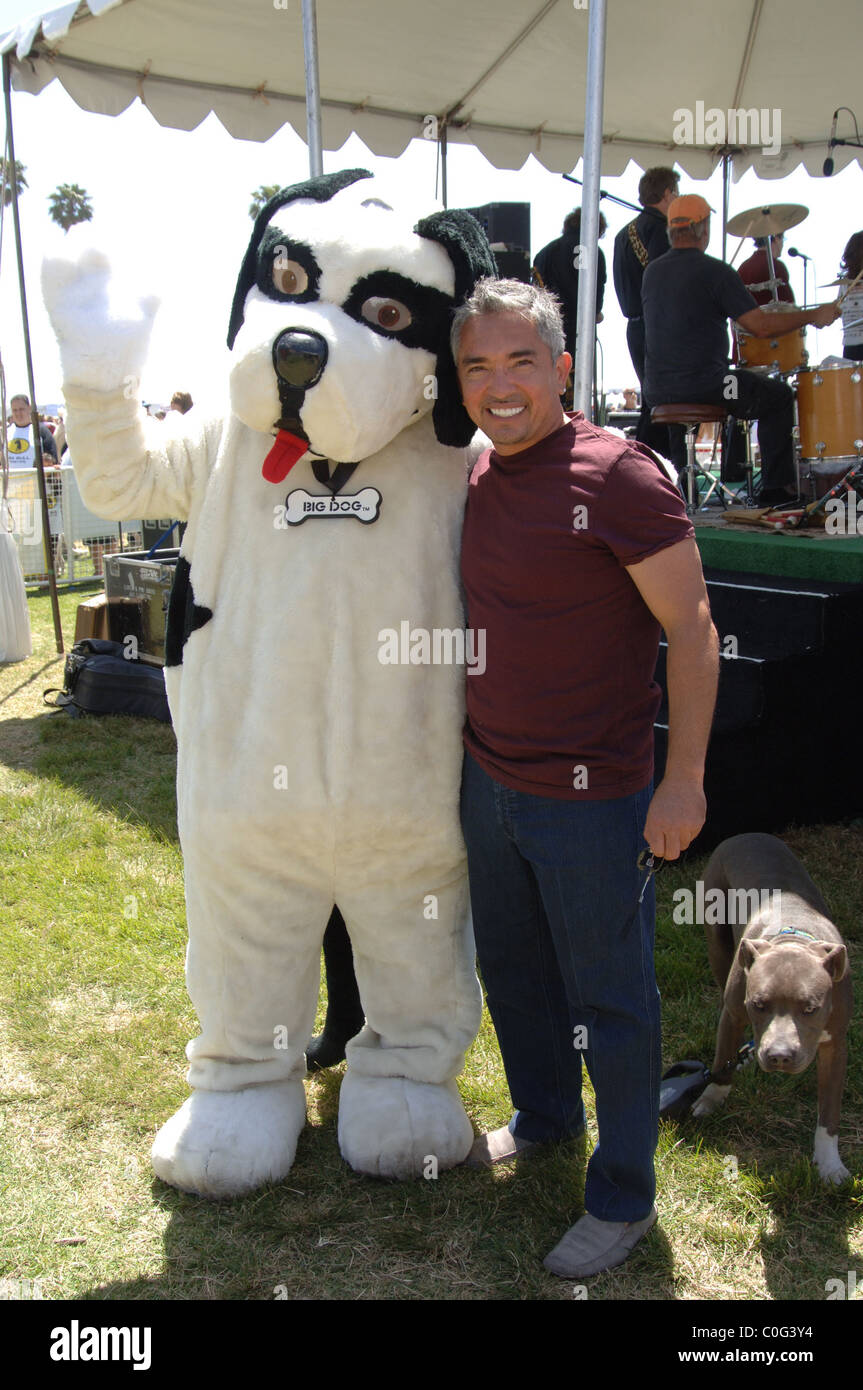 The Big Dog Parade Over 1,200 dogs and 16,000 spectators gather for the ...