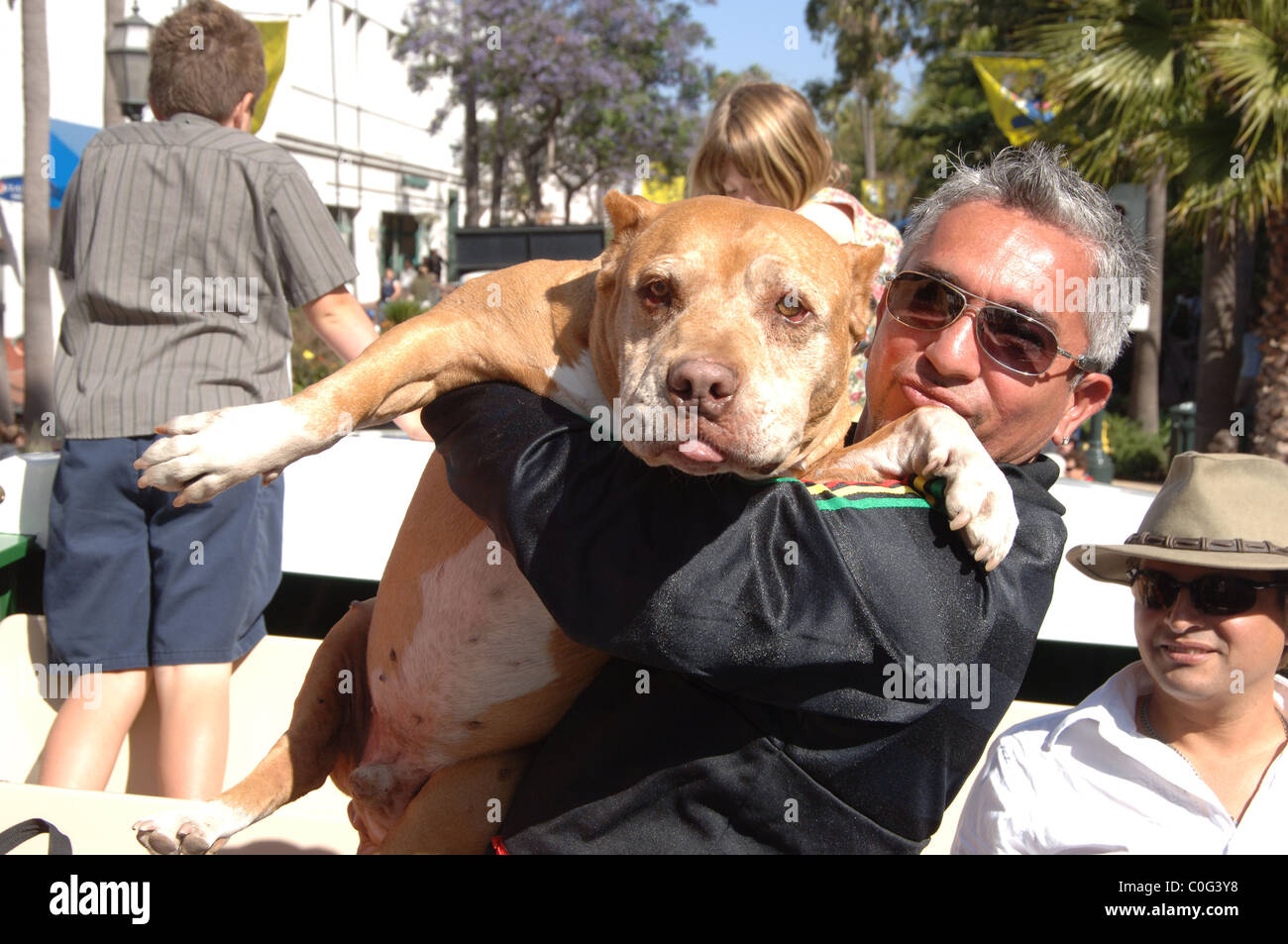 The Big Dog Parade Over 1,200 dogs and 16,000 spectators gather for the ...