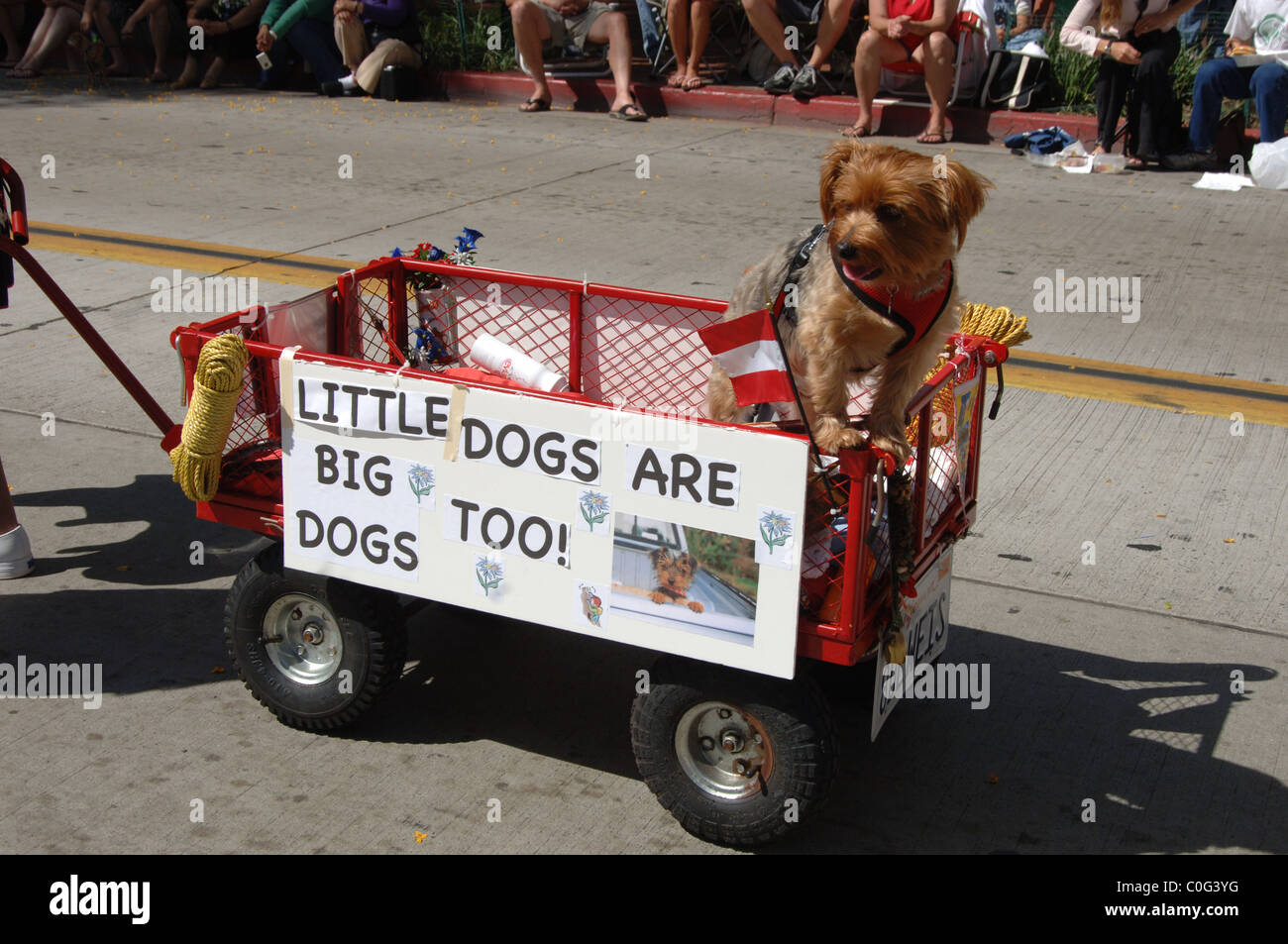 The Big Dog Parade Over 1,200 dogs and 16,000 spectators gather for the ...
