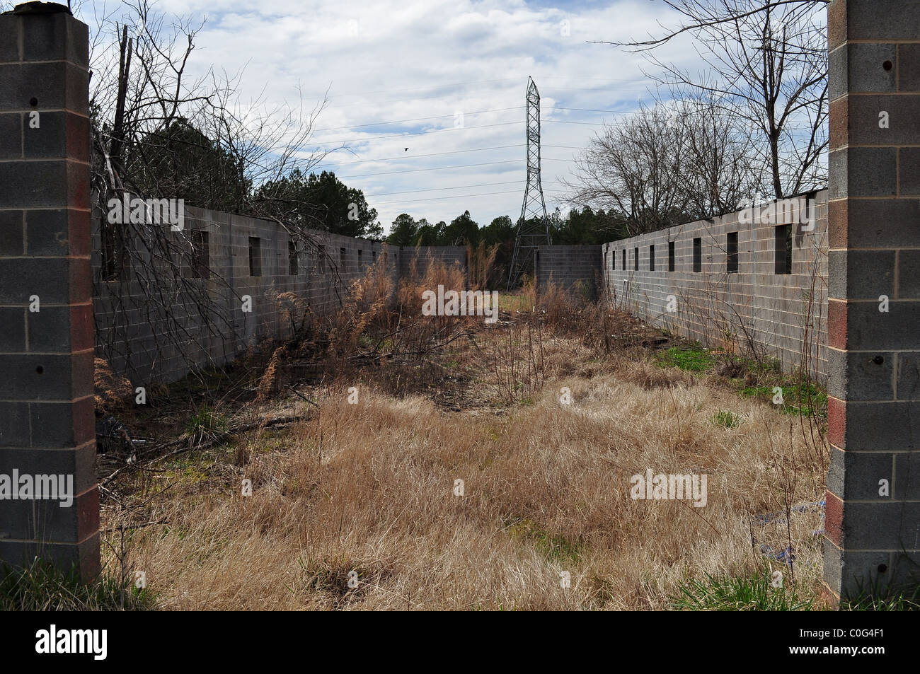 A demolished structure that has been overgrown with weeds, with power ...