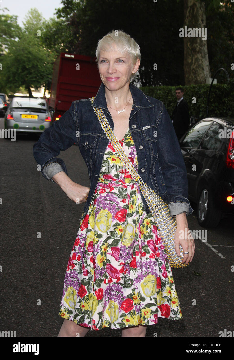 Annie lennox Observer Ethical Awards 2008 held at the Hempel hotel ...