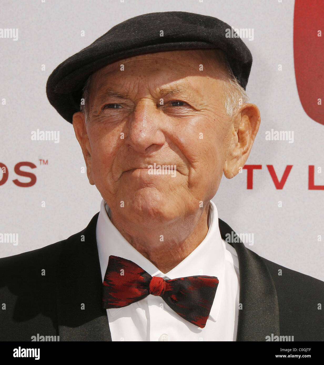 Jack Klugman The 6th Annual 'TV Land Awards' held at Barker Hanger ...