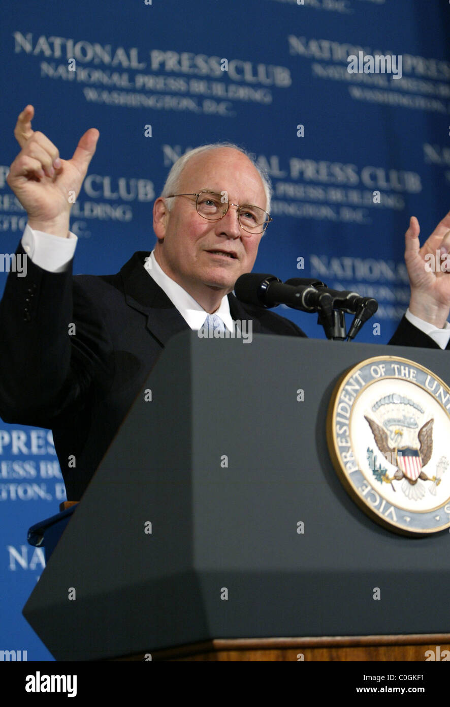 Vice President Dick Cheney addresses a Ford Foundation luncheon in the ...