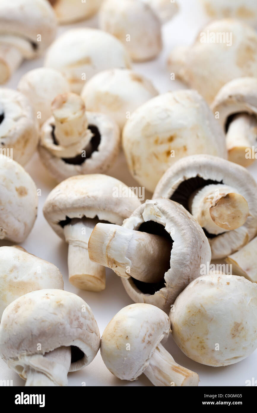White button mushrooms hi-res stock photography and images - Alamy