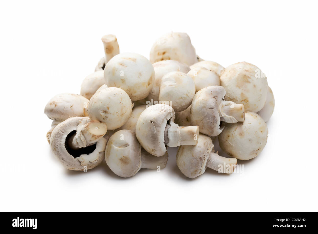 button mushrooms on white background Stock Photo - Alamy