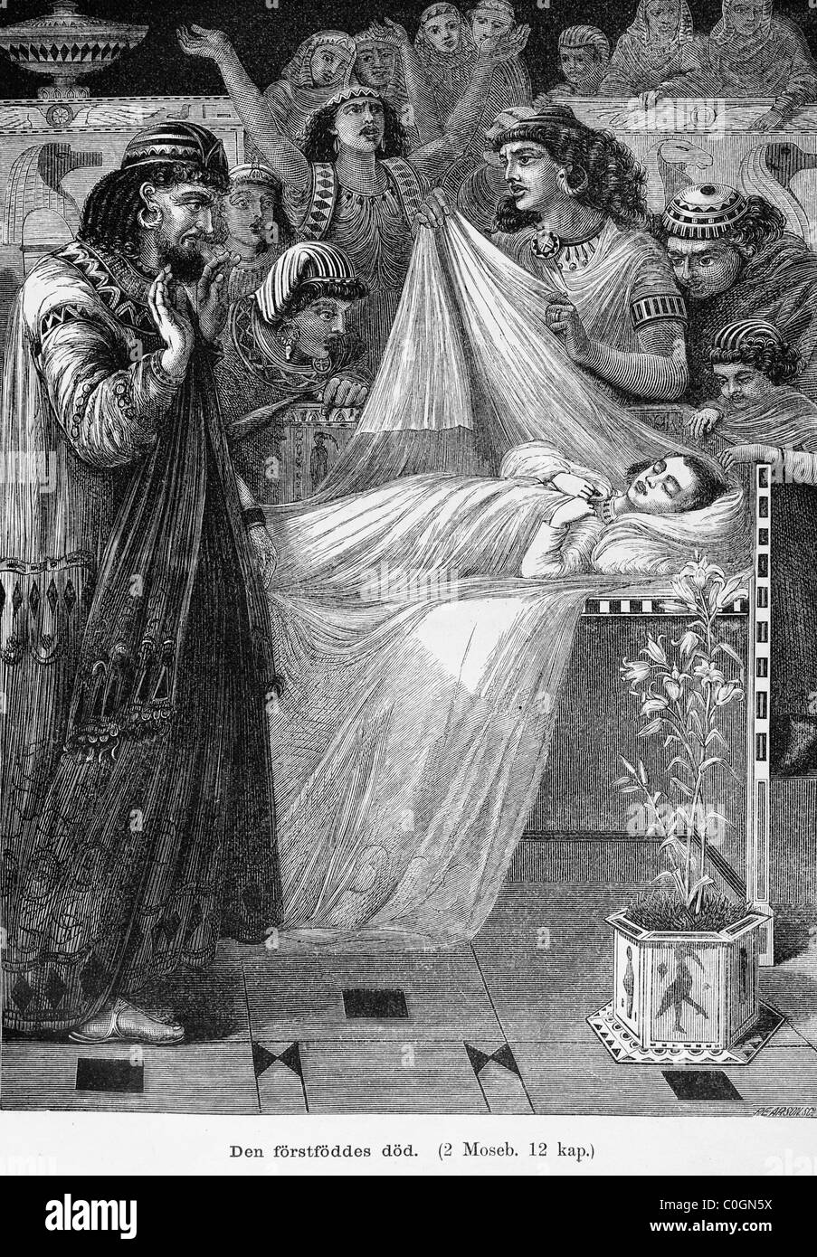 The firstborn is dead Stock Photo - Alamy