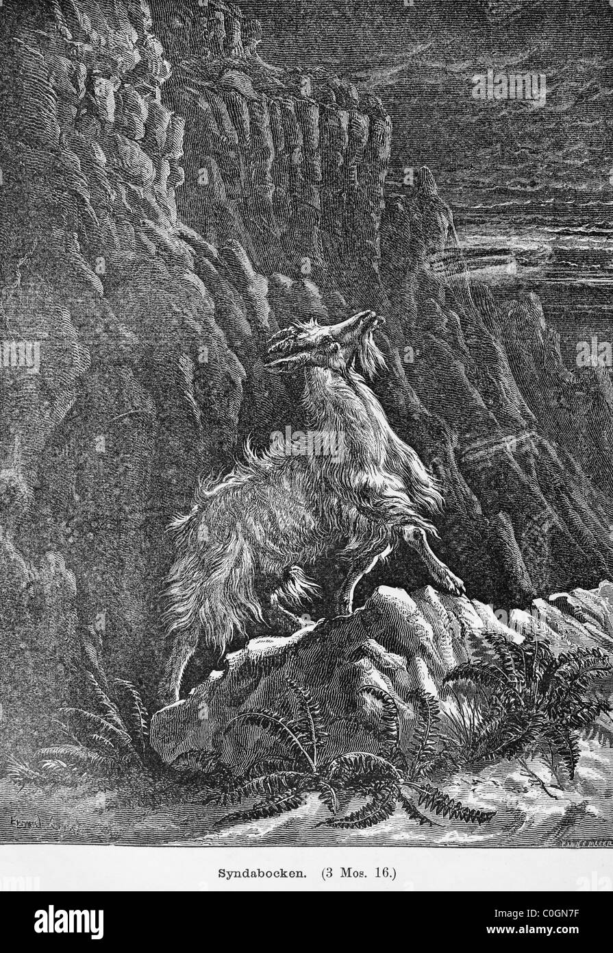 Scapegoat hi-res stock photography and images - Alamy