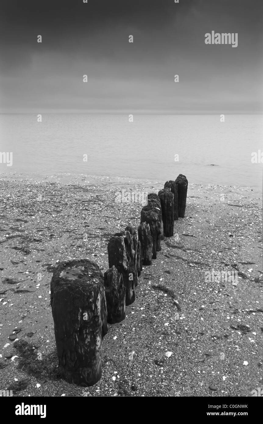 Water line defense Black and White Stock Photos & Images - Alamy