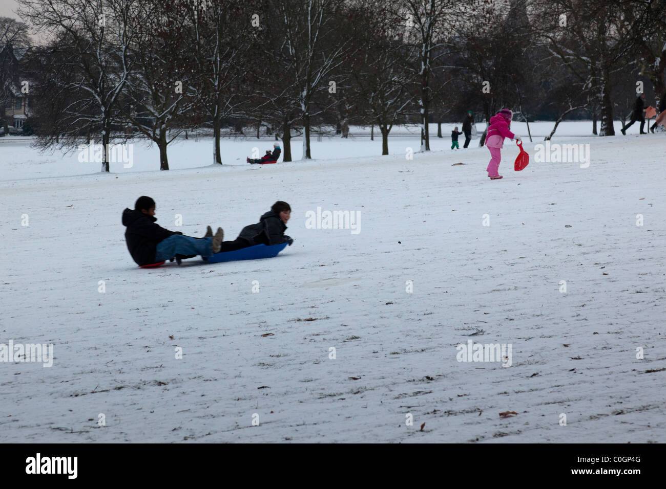 People sledging in brockwell park Stock Photo - Alamy