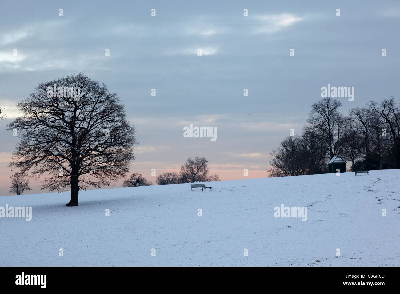 Snow covered landscape in Brockwell Park Stock Photo - Alamy