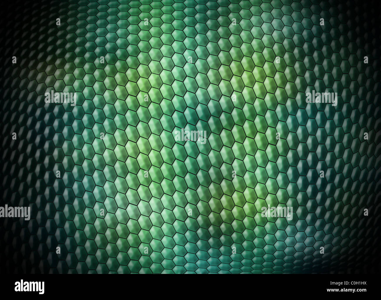 Snakeskin background hi-res stock photography and images - Alamy