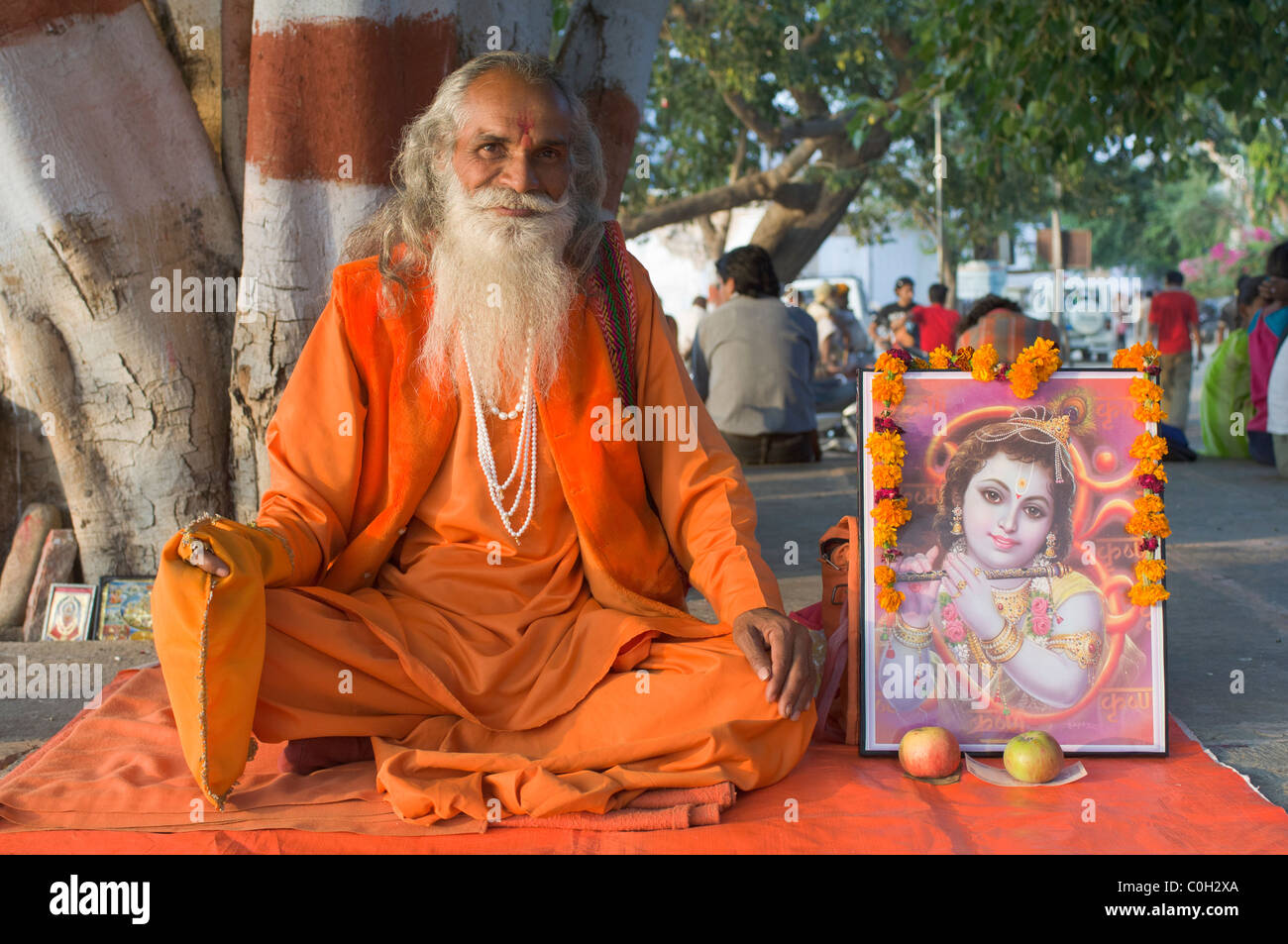 Sadhu dressed in orange robes, with a long white beard, sitting by the ...