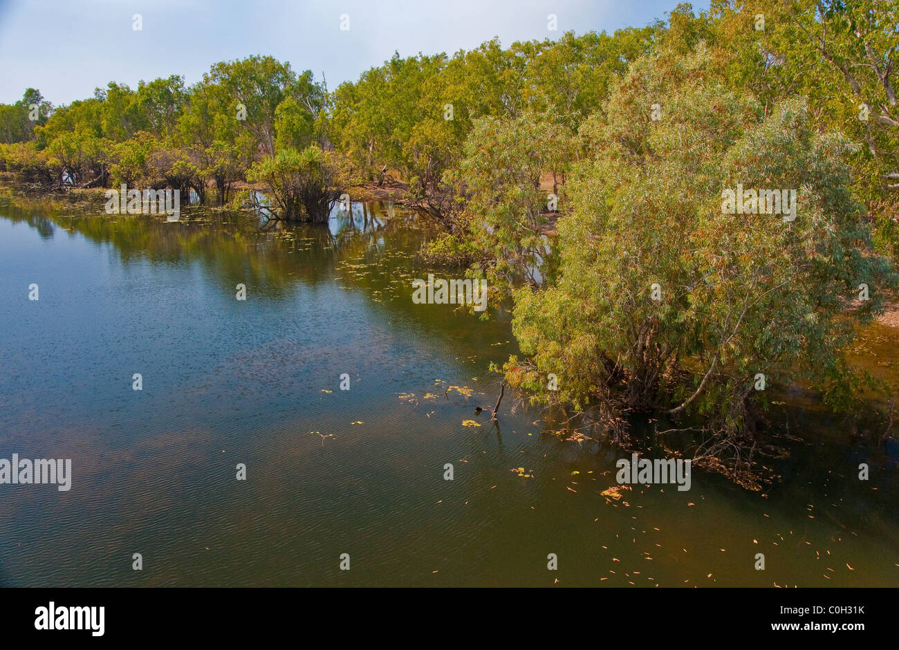 wide river in the australian outback, northern territory Stock Photo ...