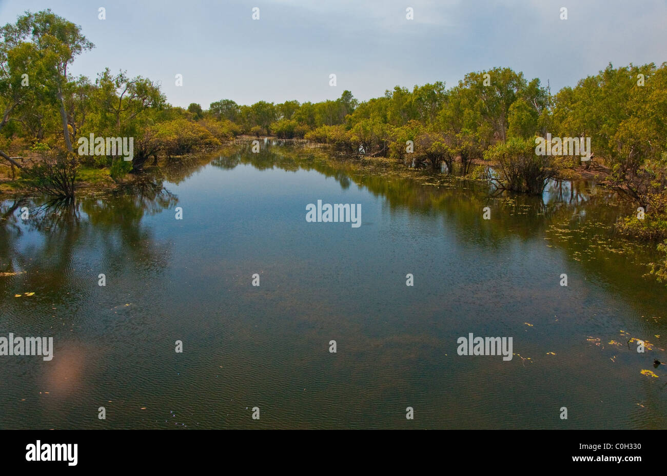 wide river in the australian outback, northern territory Stock Photo ...