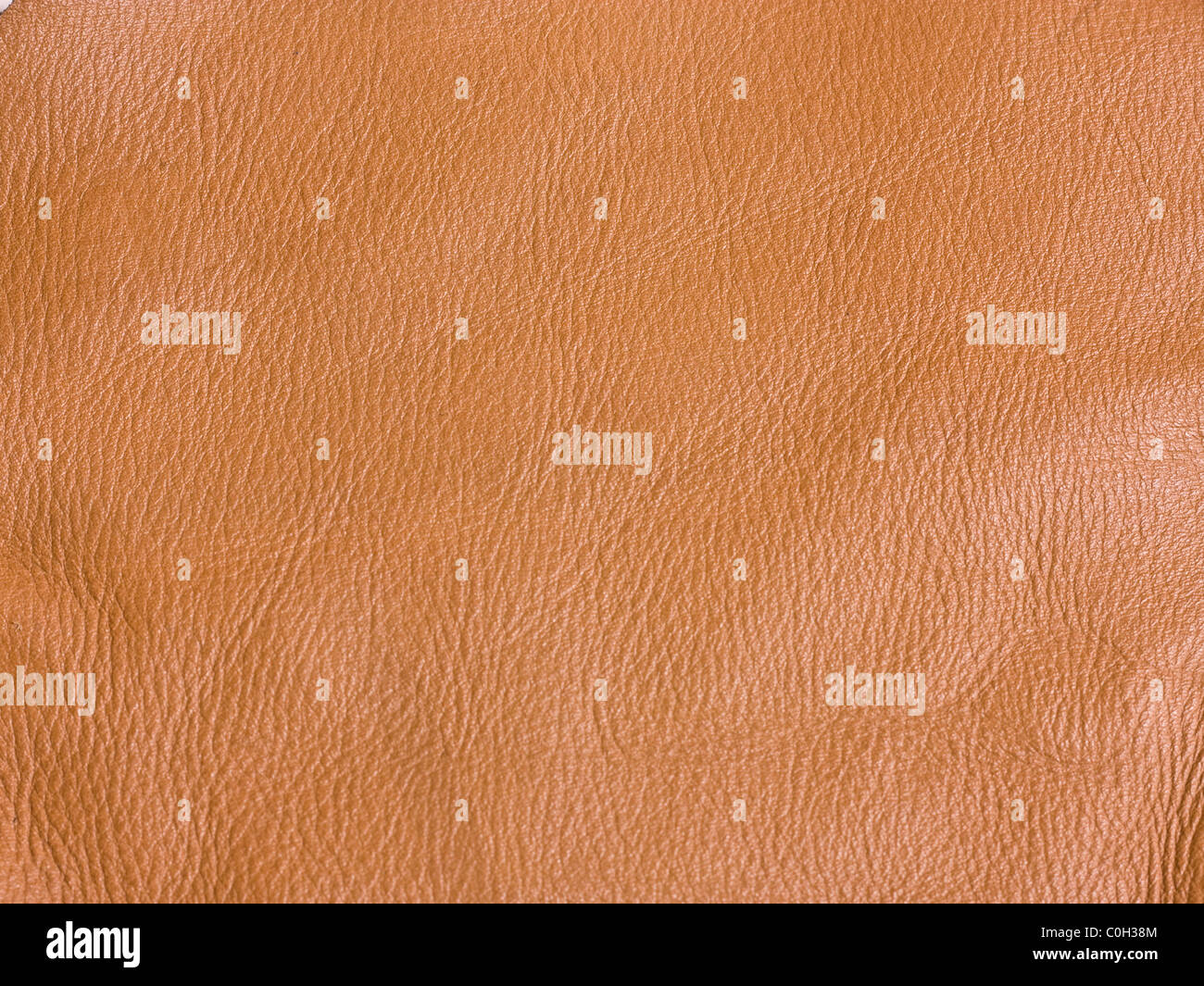 Cream leather texture hi-res stock photography and images - Alamy