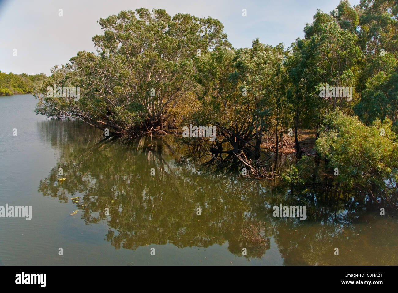 wide river in the australian outback, northern territory Stock Photo ...