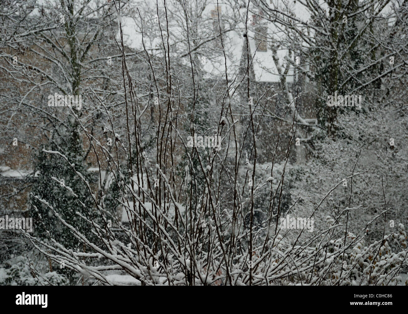 Falling snow up close hi-res stock photography and images - Alamy